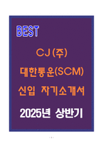 A+ CJ 주 대한통운 SCM 신입 자기소개서