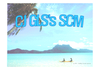 경영정보 mis CJ GLS 의 SCM