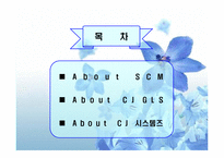 경영정보 mis CJ GLS 의 SCM