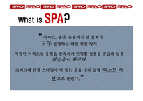 이랜드 SPA브랜드 SPAO의 성공전략