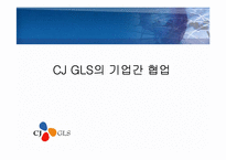 가상조직론 CJGLS의 기업간협업