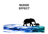 NUDGE EFFECT 레포트