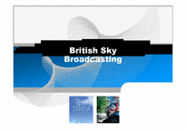 BSkyB 다각화전략