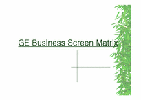 GE Business Screen Matrix