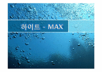 촉진전략 하이트 HITE MAX 맥스 맥주 IMC전략