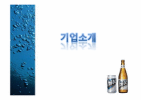 촉진전략 하이트 HITE MAX 맥스 맥주 IMC전략