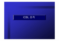리더쉽 ICBL에서의 리더십