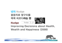 NUDGE EFFECT 레포트