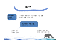 NUDGE EFFECT 레포트