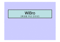 WiBro 휴대용 무선 인터넷