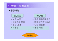 WiBro 휴대용 무선 인터넷