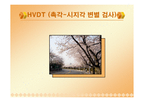 HVDT촉각 시지각 변별 검사